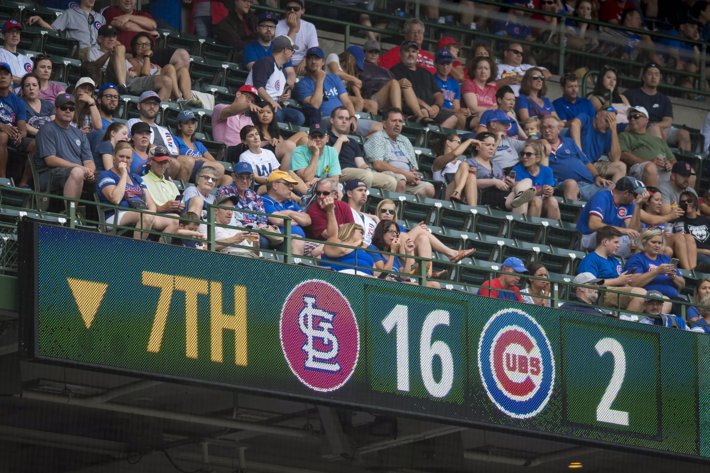 Viva El Birdos is on FanPulse