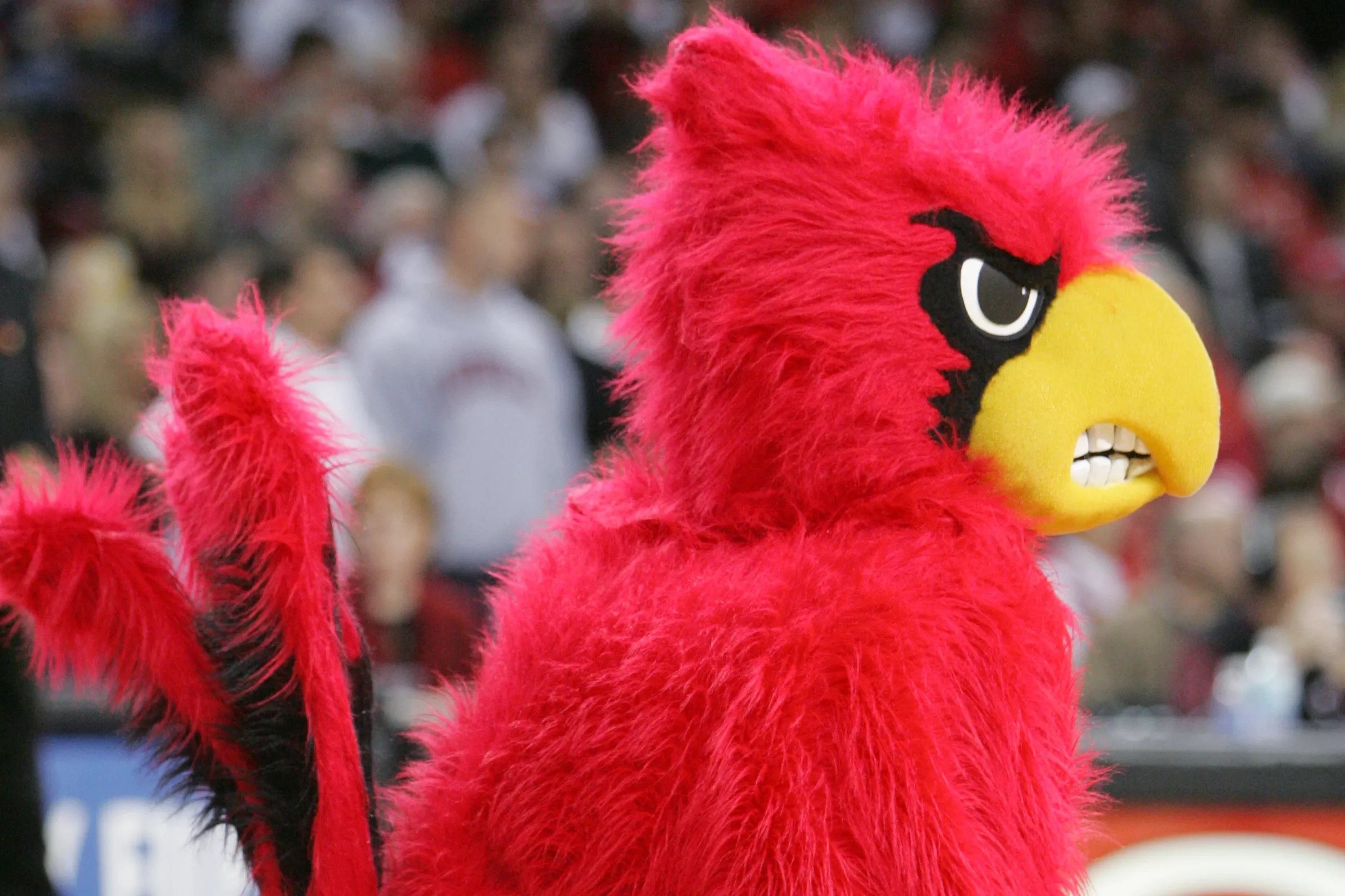Louisville Cardinals Basketball Scandal