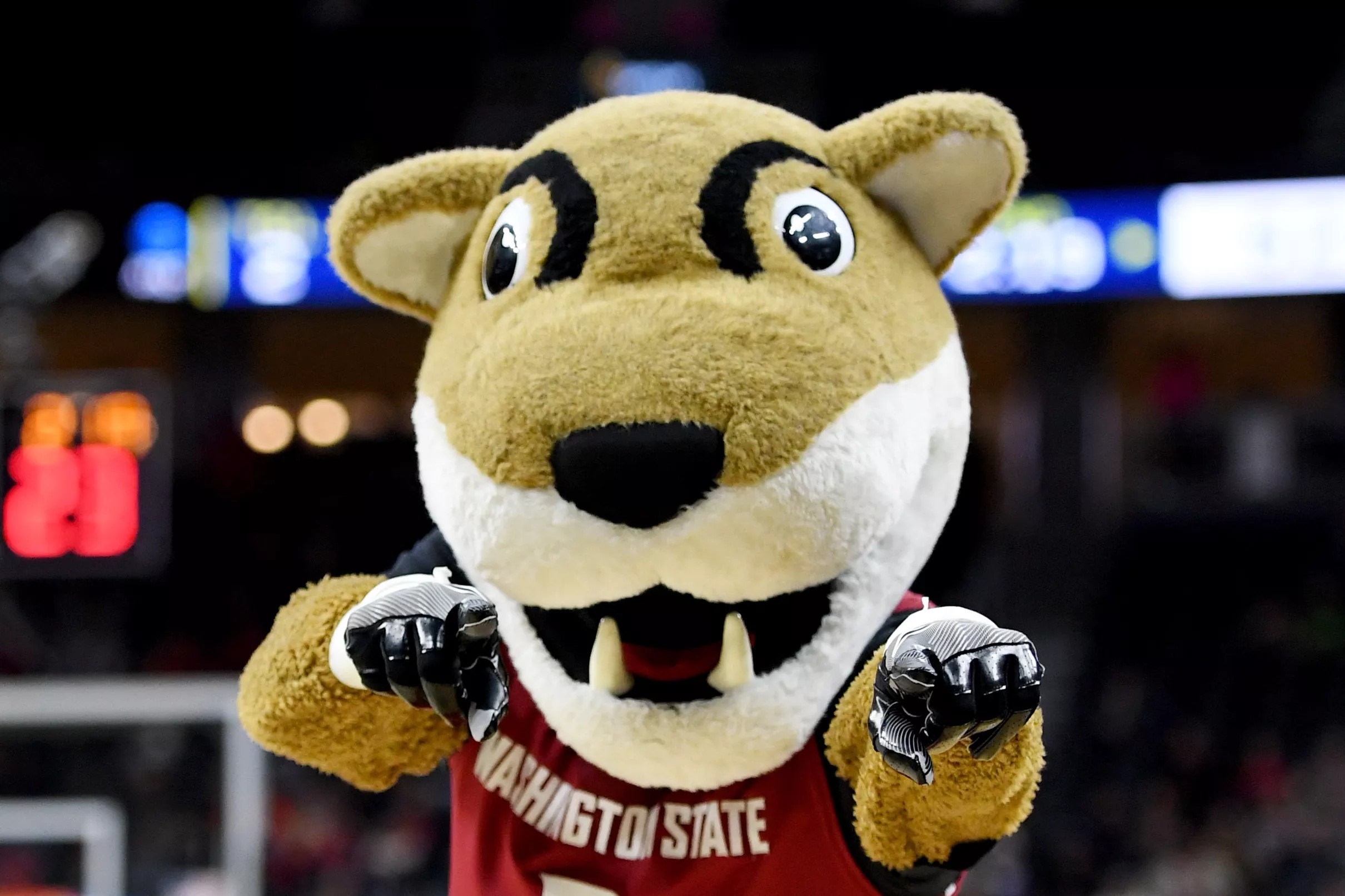 Wsu Hires Kamie Ethridge As Womens Basketball Coach