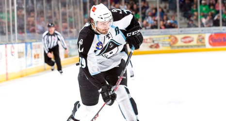 Admirals add three players, Van Guilder named team Man of the Year