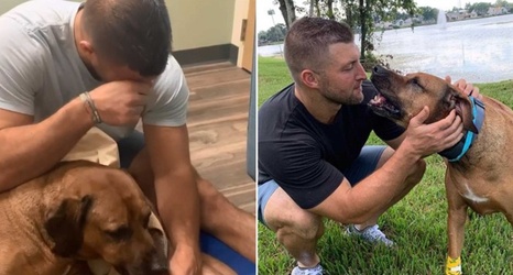 Tim Tebow says tearful goodbye to his dog Bronco