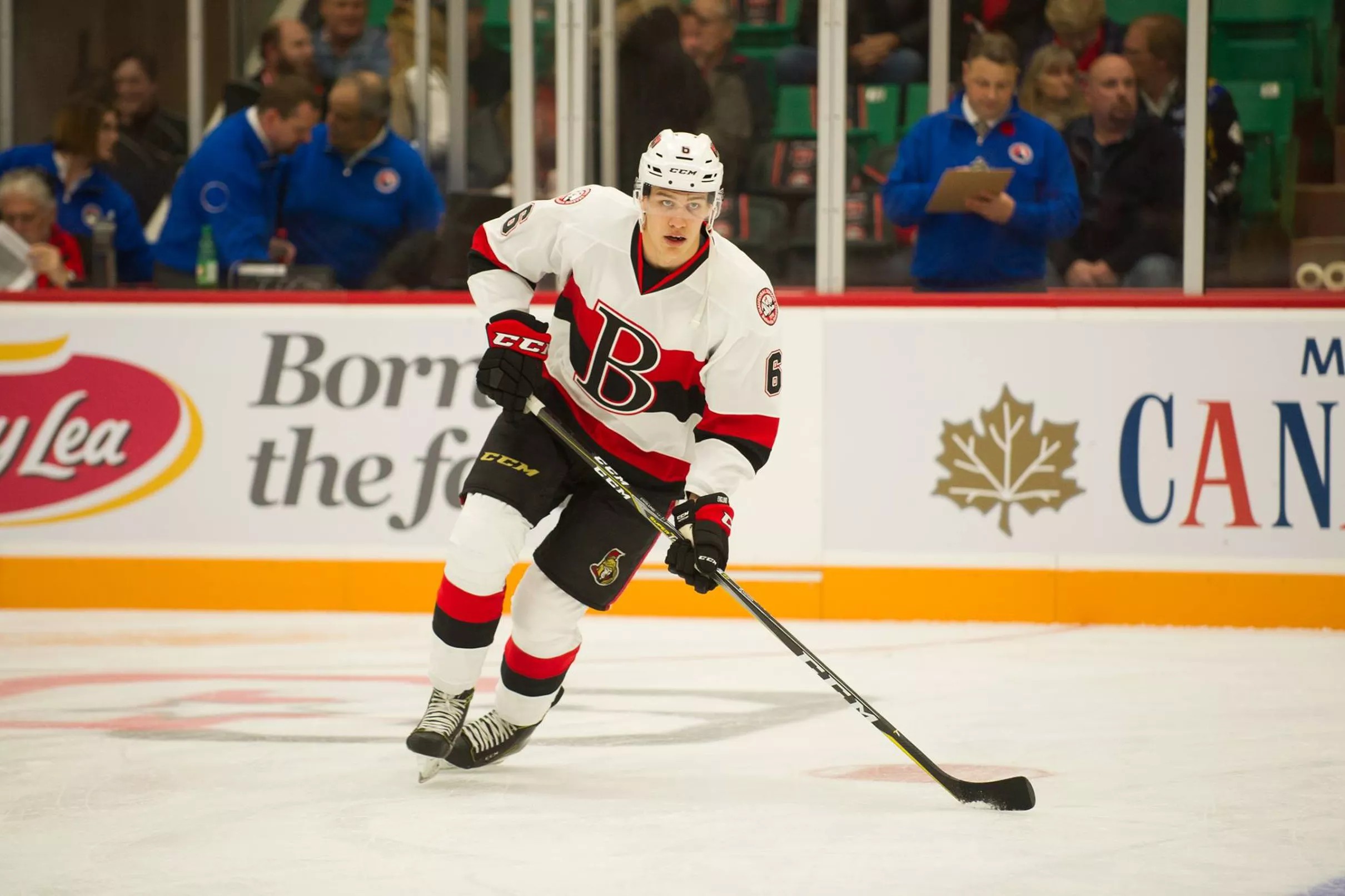 Ottawa Senators Recall Andreas Englund