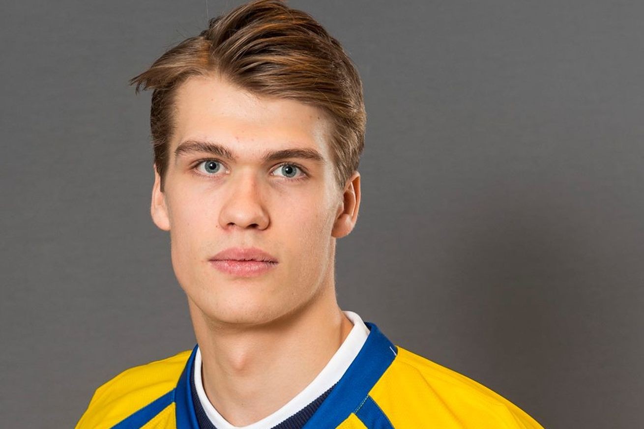 Andreas Englund Named to Team Sweden for Euro Hockey Tour