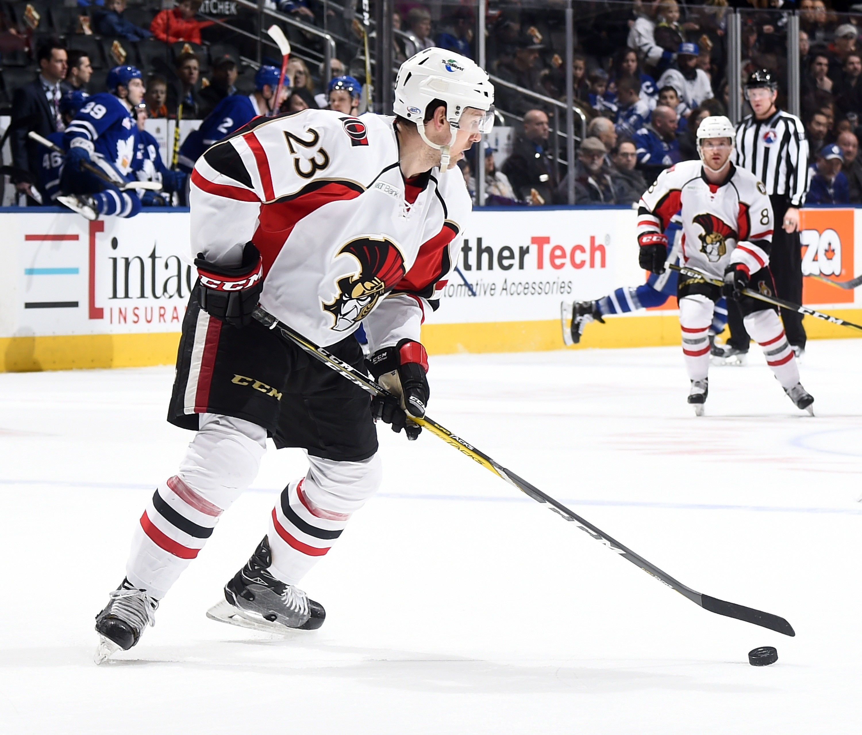 Ottawa Senators: Patrick Sieloff Signed by Senators