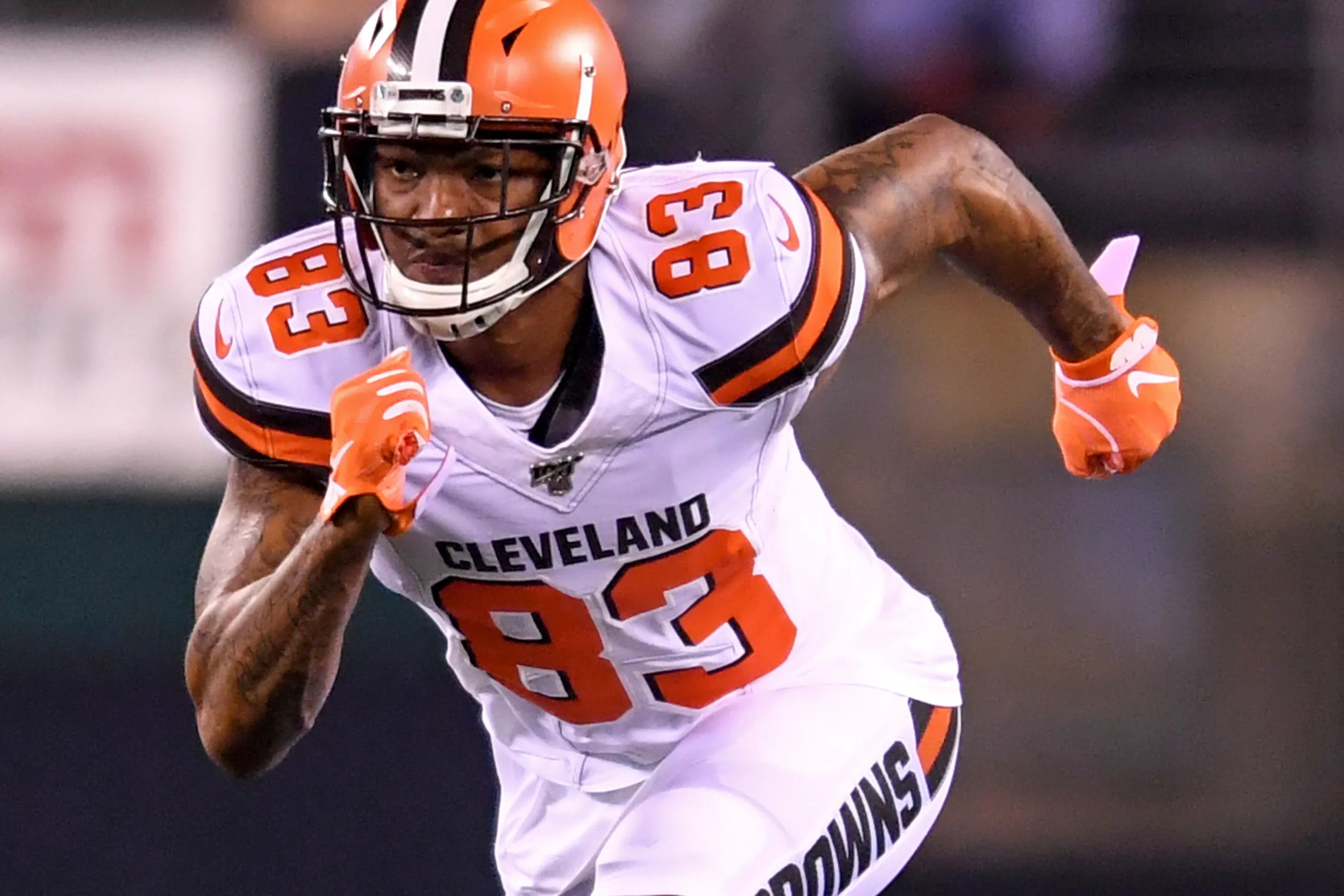 The roster race is back on at TE with the signing of free agent Ricky ...