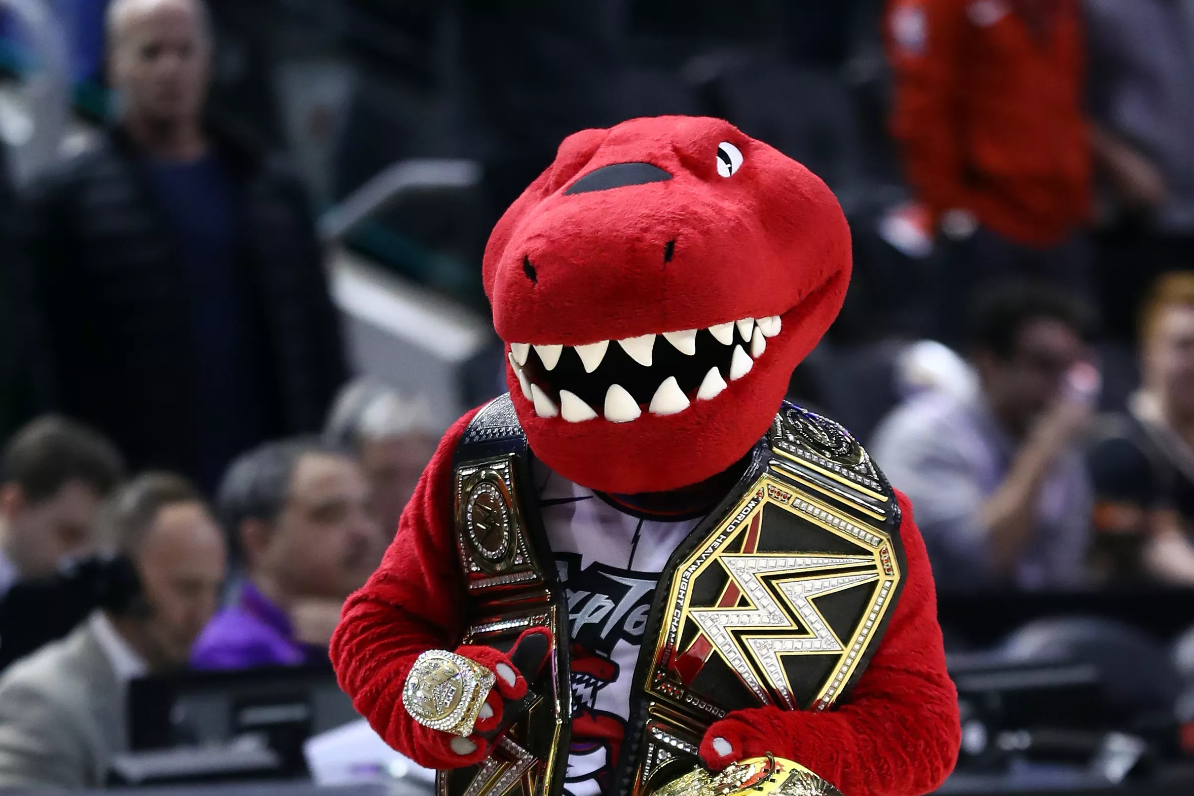 Build-A-Raptor: What does the perfect Raptor look like?