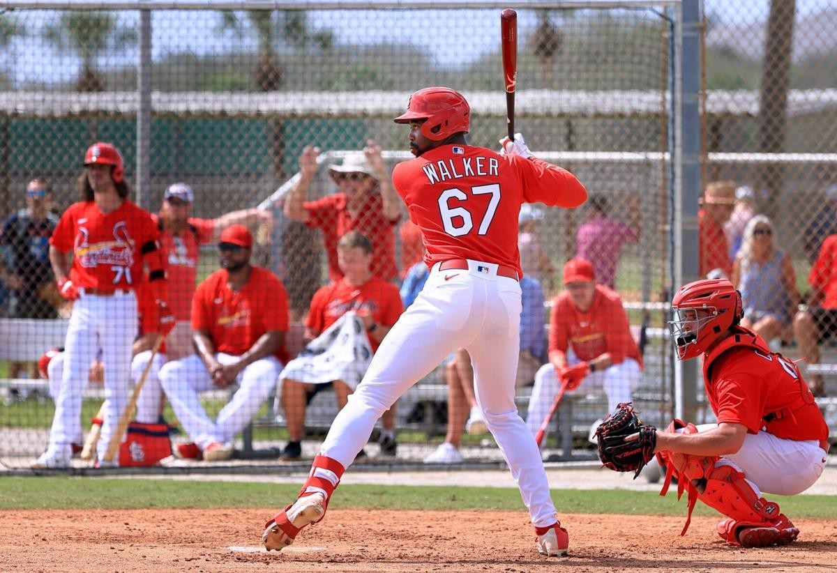 Jordan Walker's 2-home run game leads a 5-homer day for Cardinals in ...