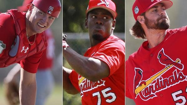 Derrick Goold: Bird Land