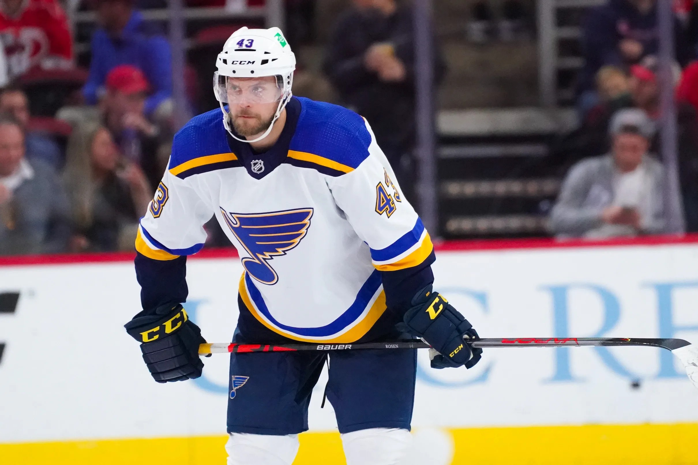 What’s there to know about Calle Rosen?