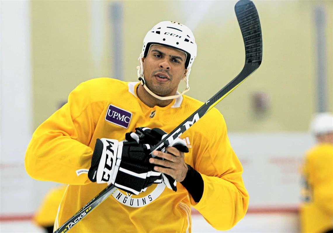 Joe Starkey: Ryan Reaves is a luxury the Penguins can afford