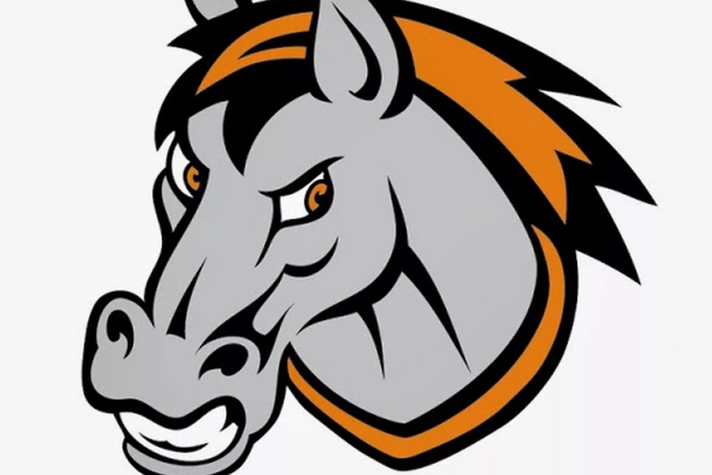 Kansas City Mavericks Update