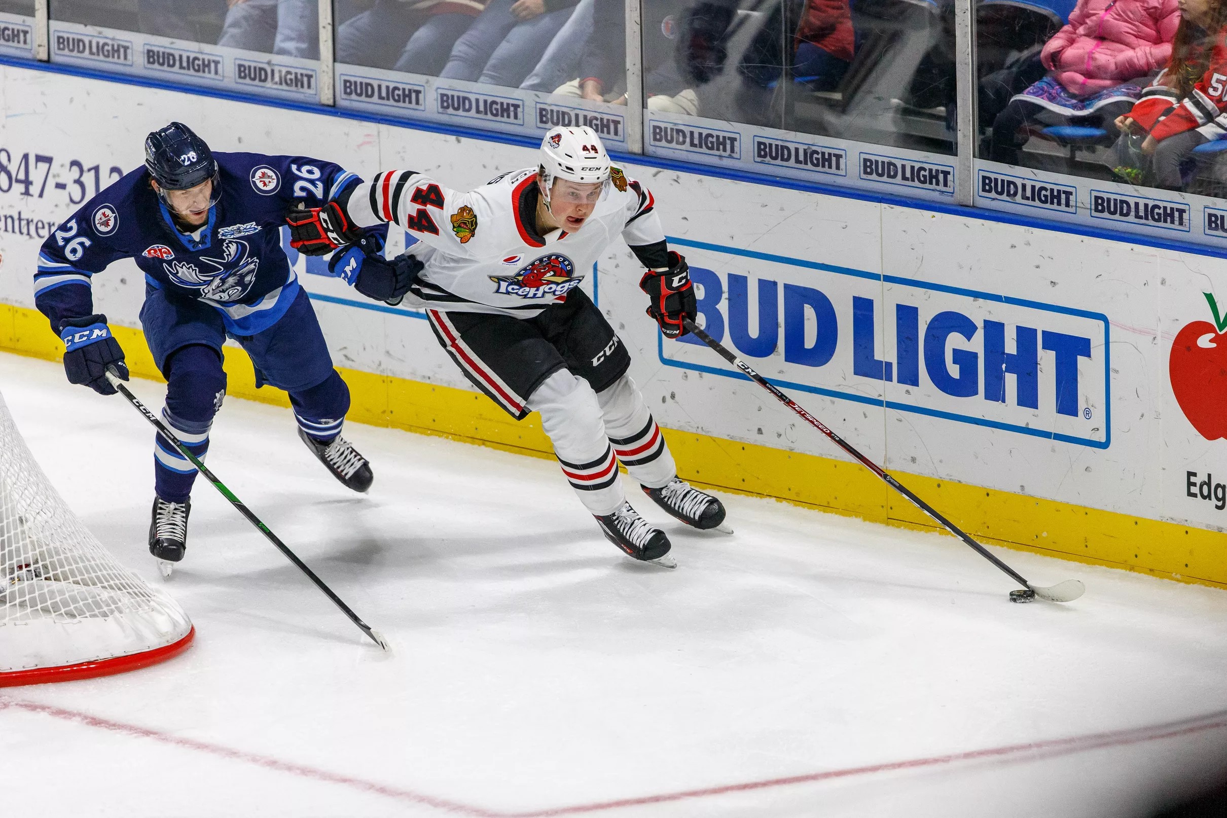 MacKenzie Entwistle finding his footing in the AHL