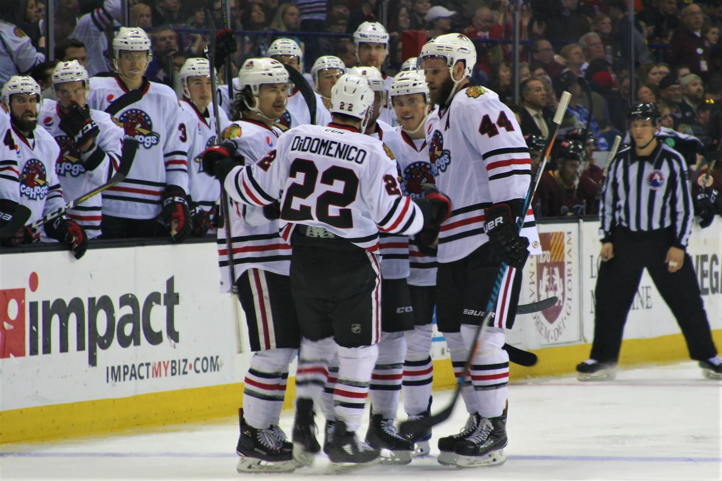 Calder Cup Playoffs: Rockford holds off Wolves in 2-1 victory