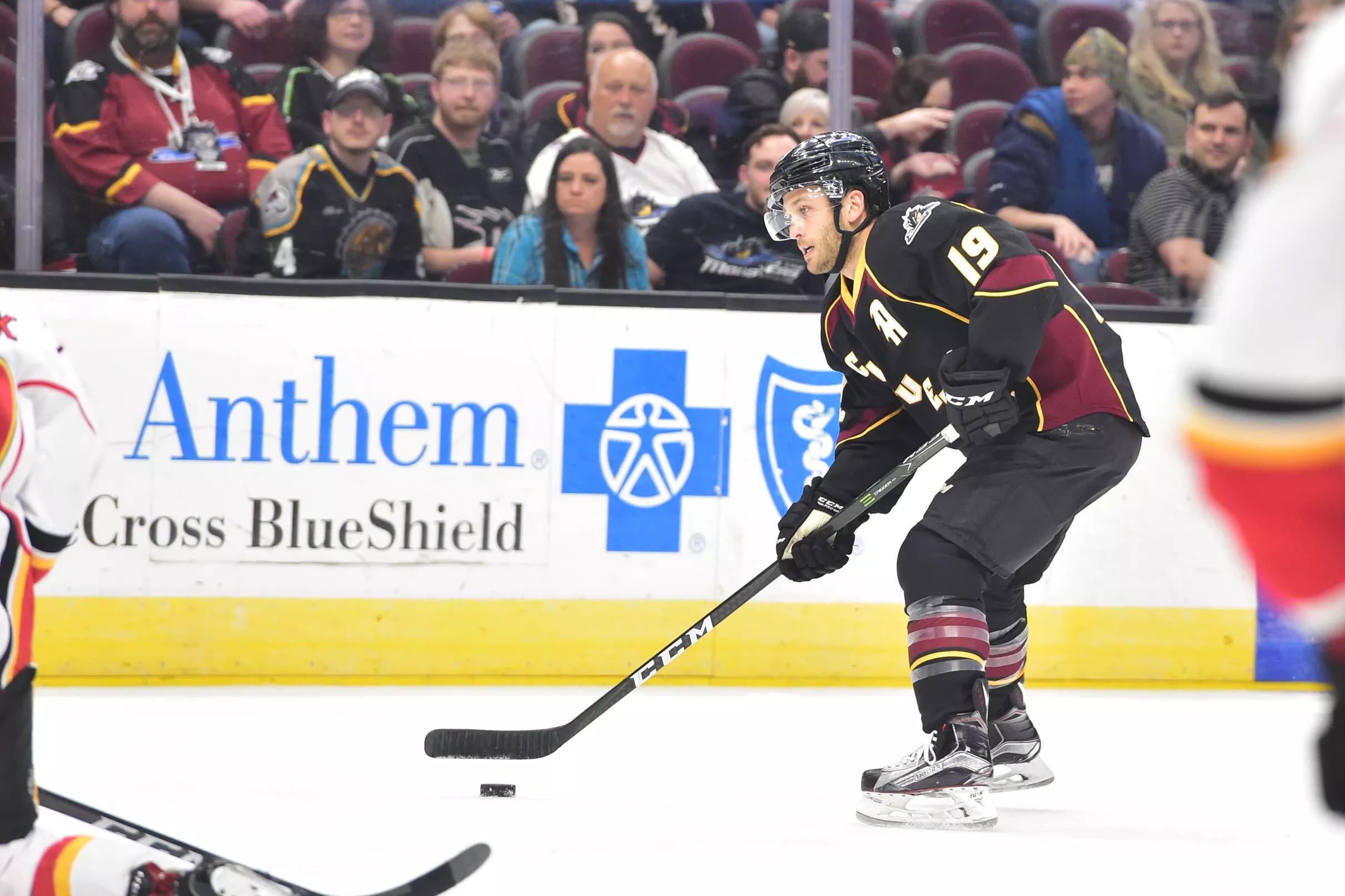 Monsters Lose Jordan Maletta and Carter Camper, Gain Ryan Kujawinski