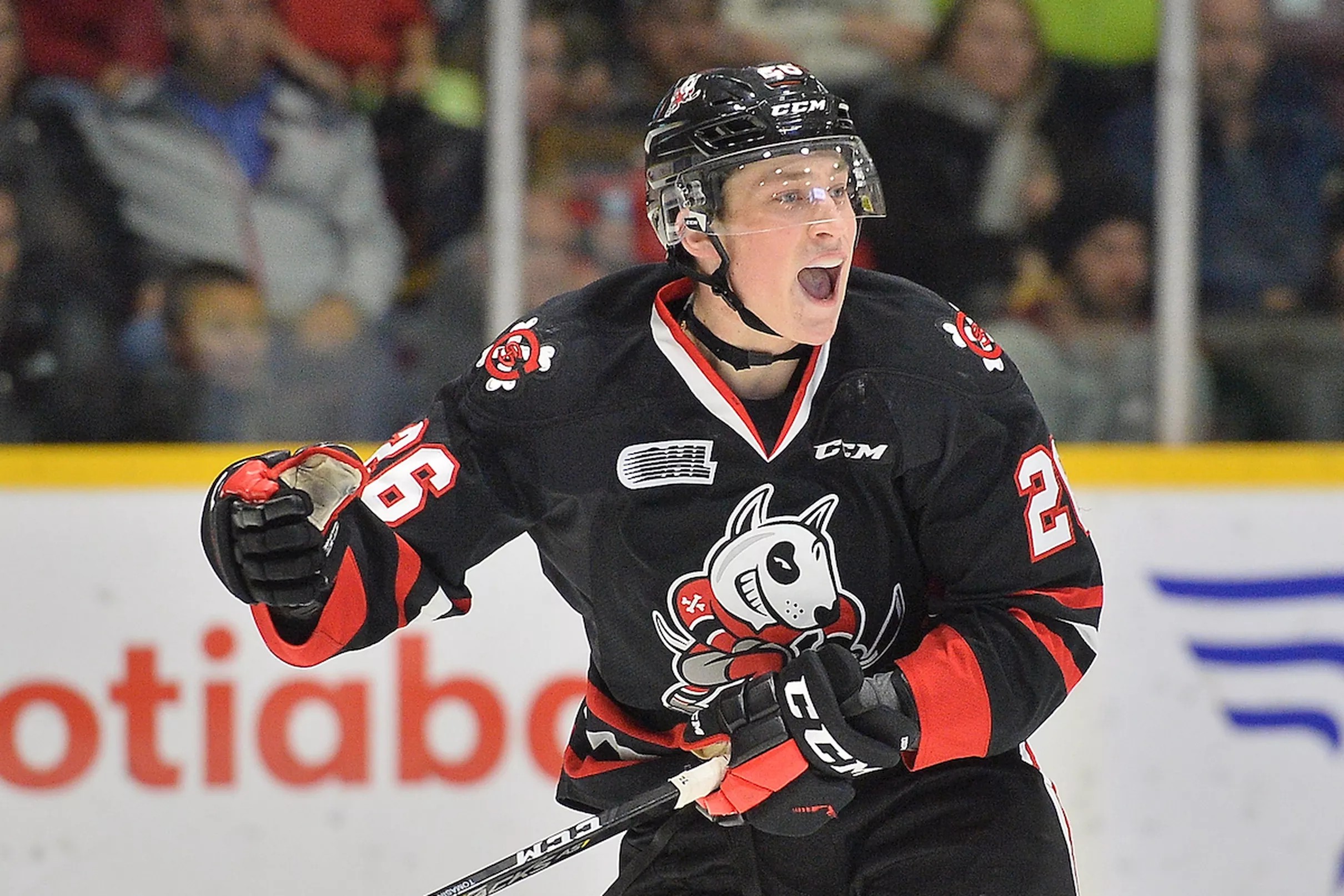 2019 NHL Entry Draft Prospect Profile: Philip Tomasino