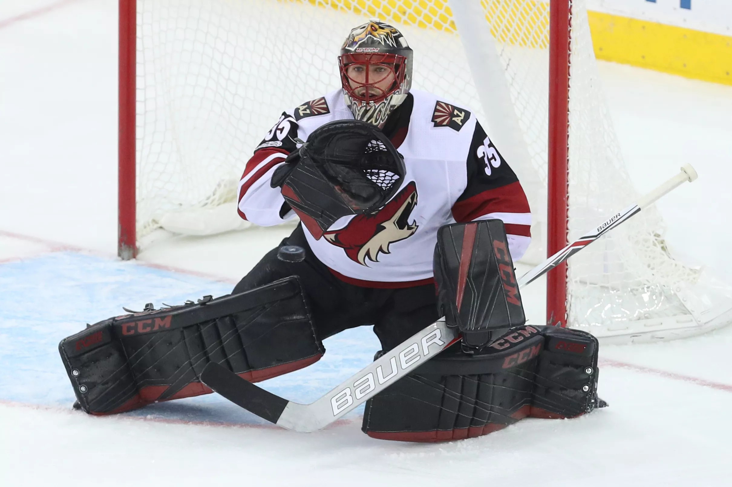 Arizona trade Louis Domingue to Tampa Bay