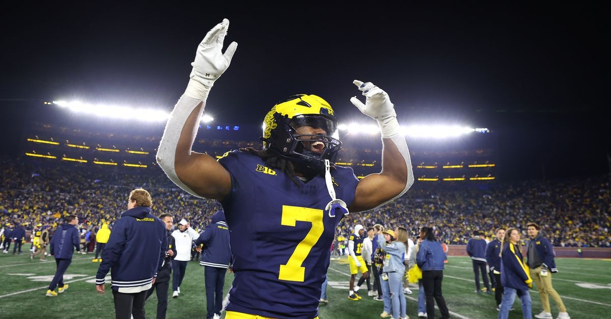 What Josh Ross brings to the Baltimore Ravens