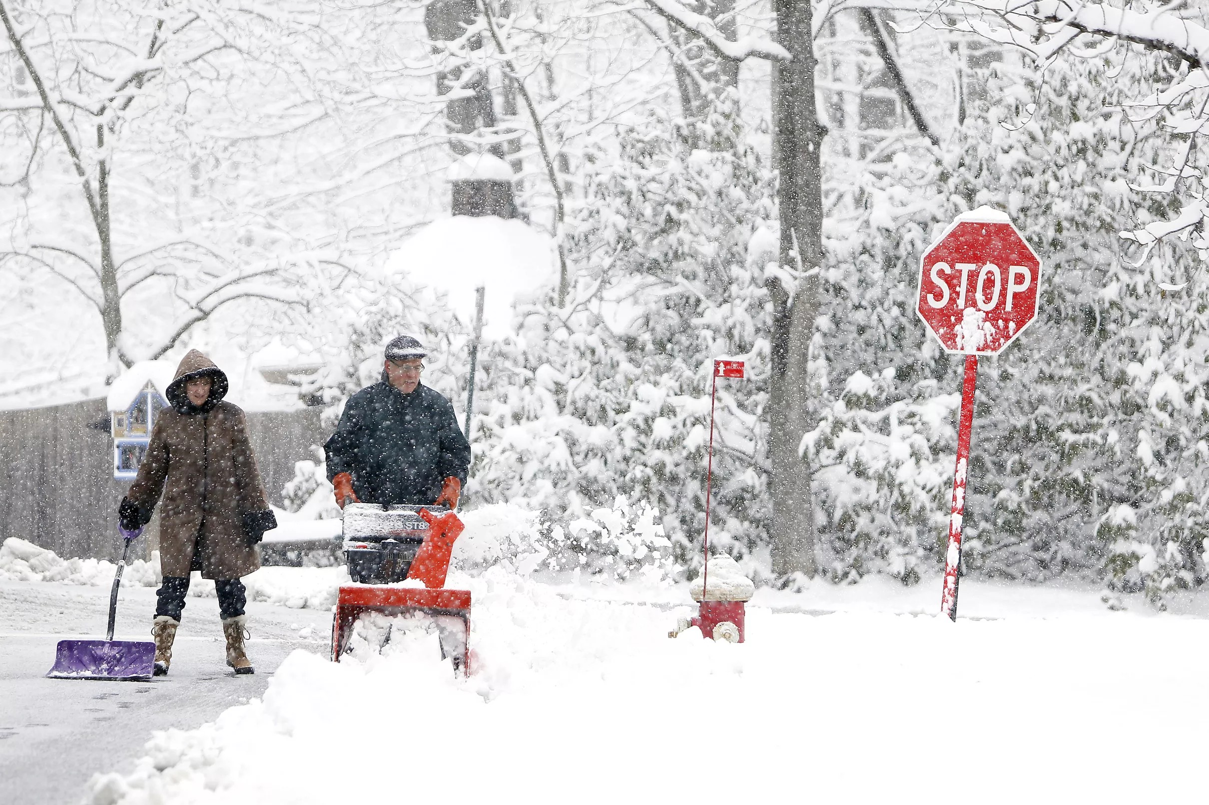 Frosted Flakes: Snow, Rewriting Genes, Promposals
