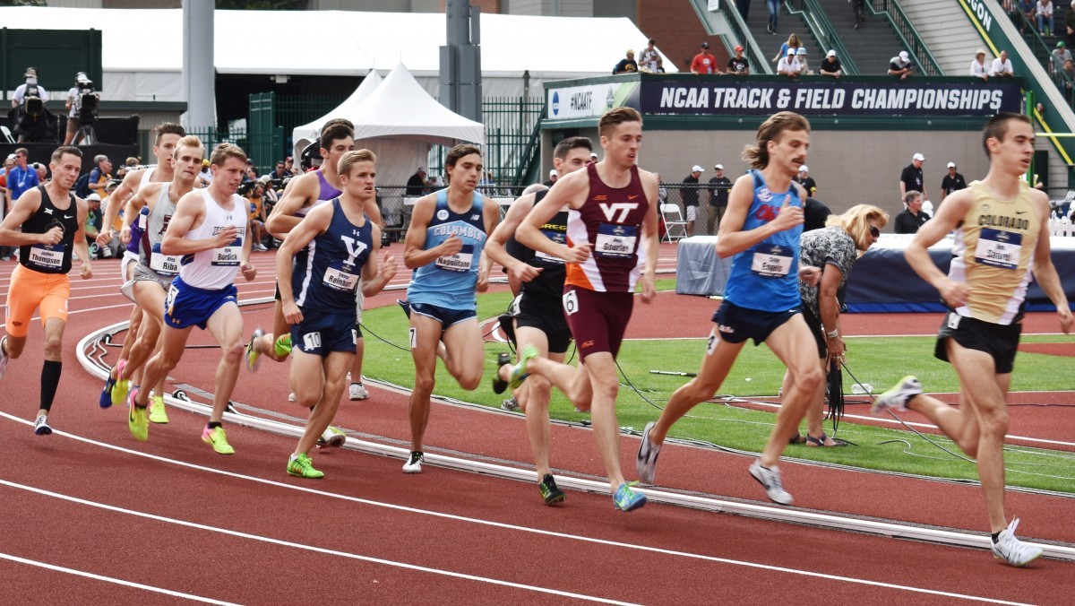 Gourley leads three men's distance runners into finals at NCAAs
