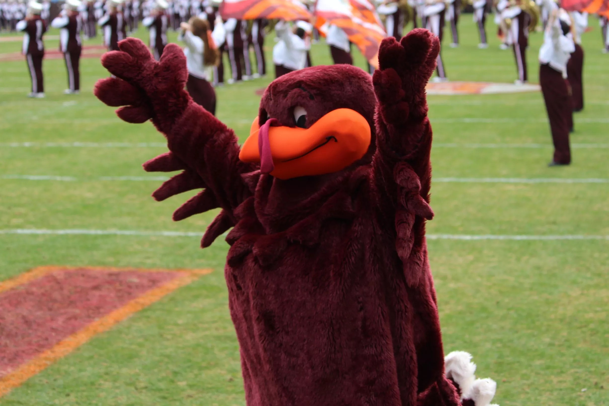 Virginia Tech Hokies: National Signing Day (Original)
