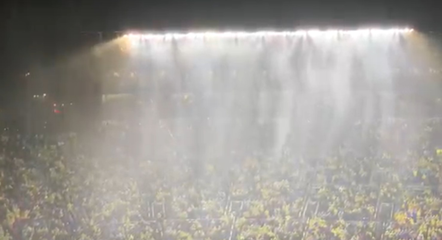 They Definitely Seen the Rain