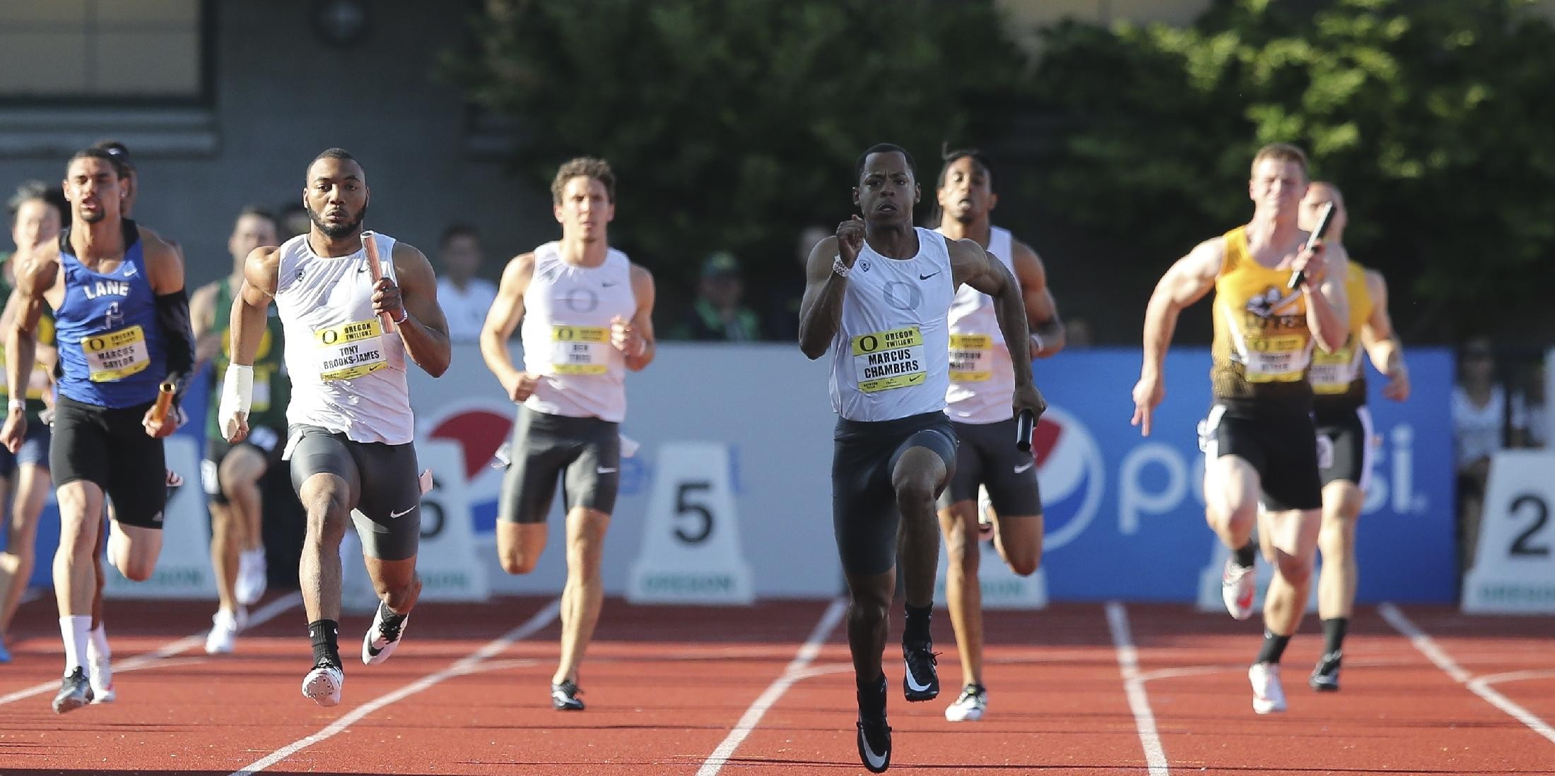 Stars Shine At Oregon Twilight