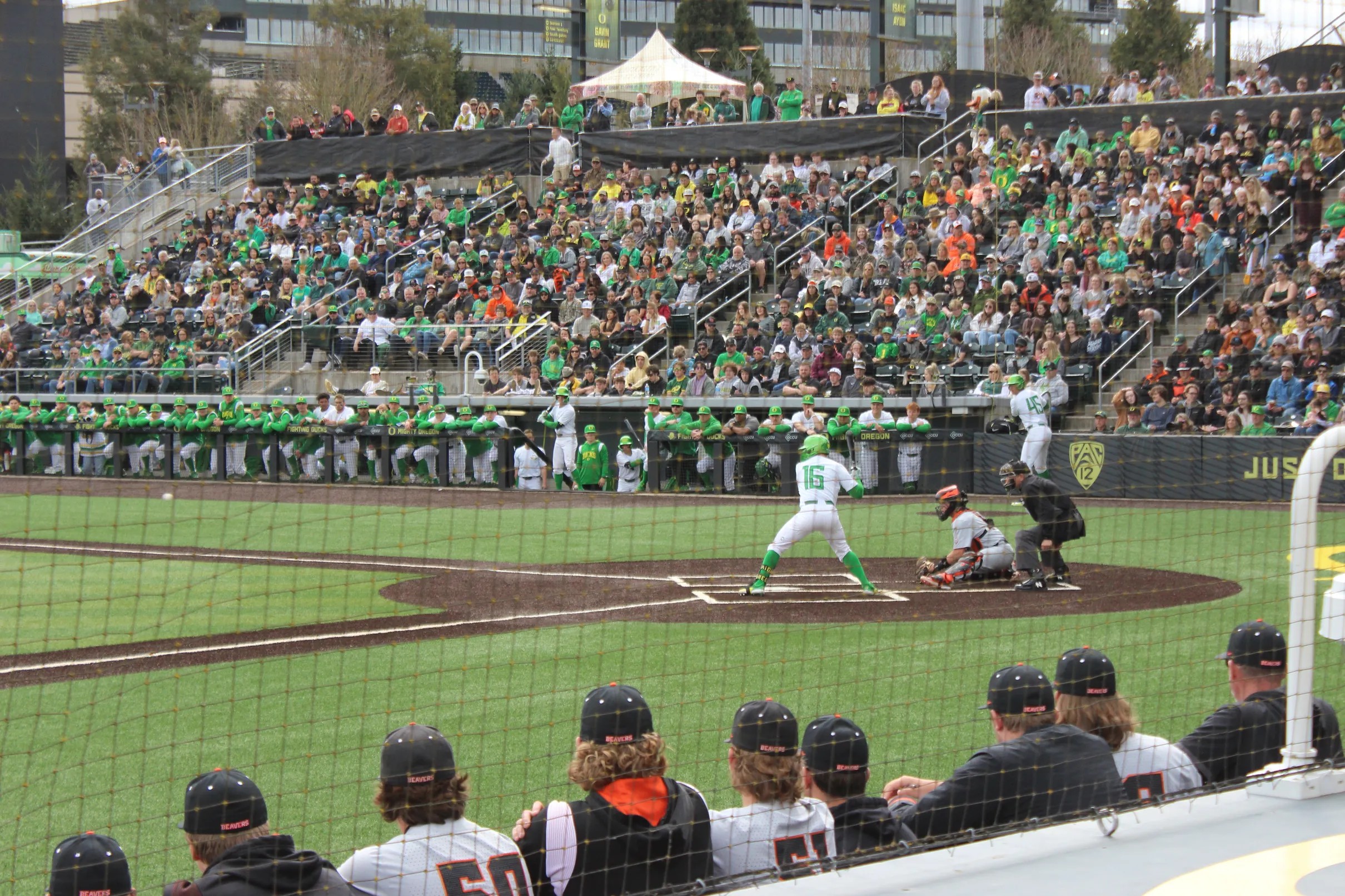 Oregon Baseball 2024 Season Preview