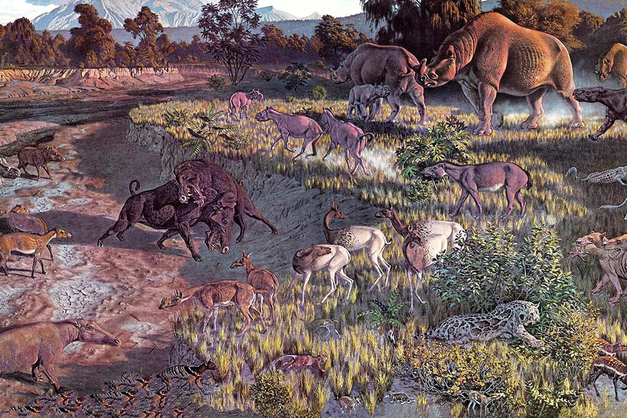 The Oregon Trail, Part III: 20 Million Years BC