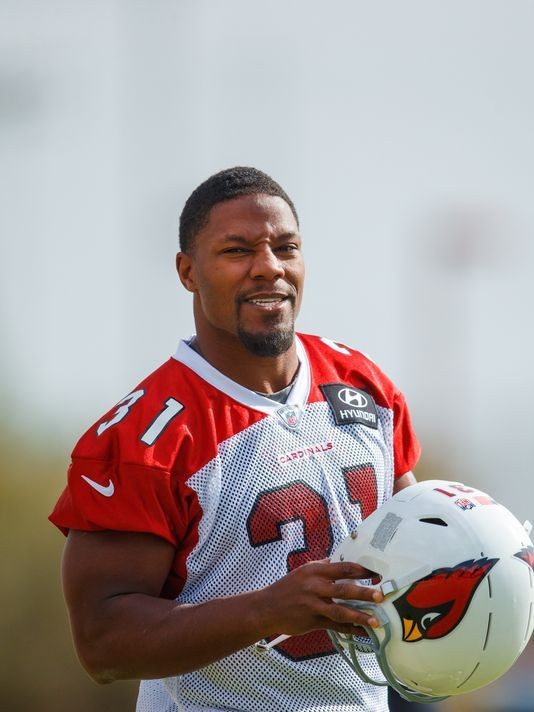 Cardinals RB David Johnson taking the next steps toward NFL stardom