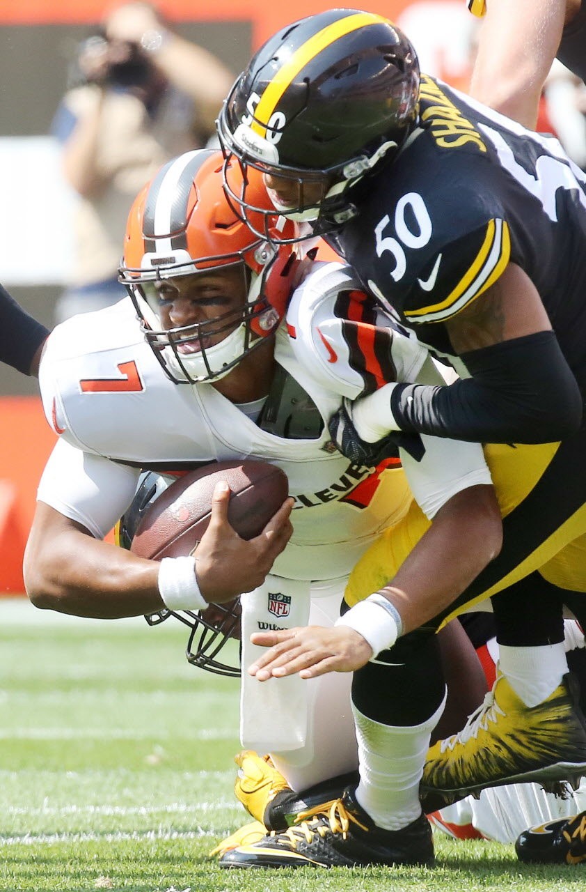 Browns defensive coordinator Gregg Williams talks about facing the Ravens