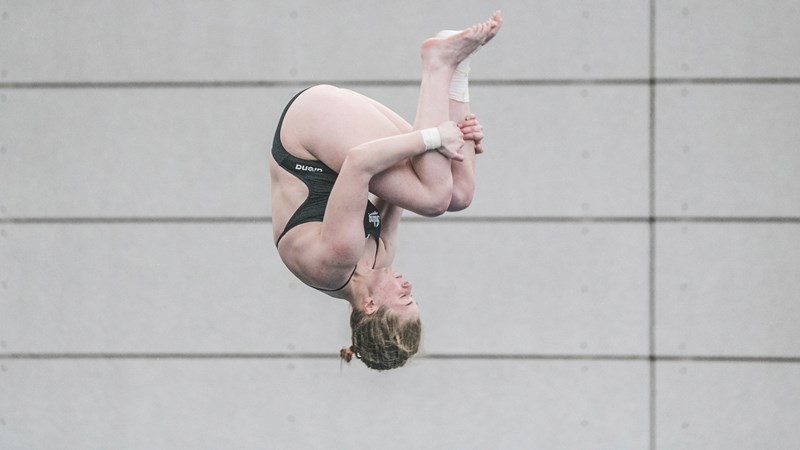Indiana Diving Posts Three More NCAA Marks in Lexington