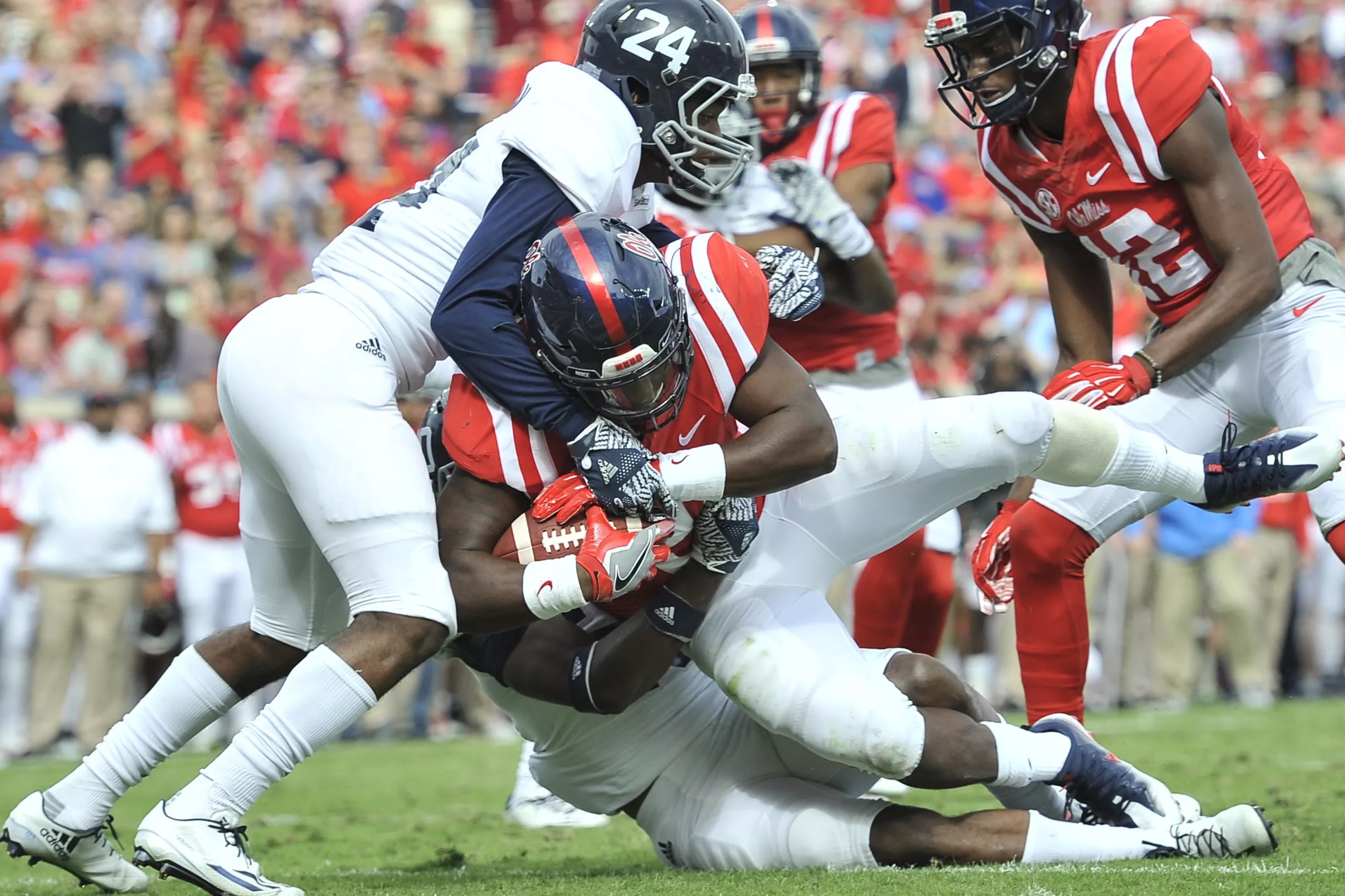 Indiana Football week 4 preview: Can Georgia Southern’s defense match ...