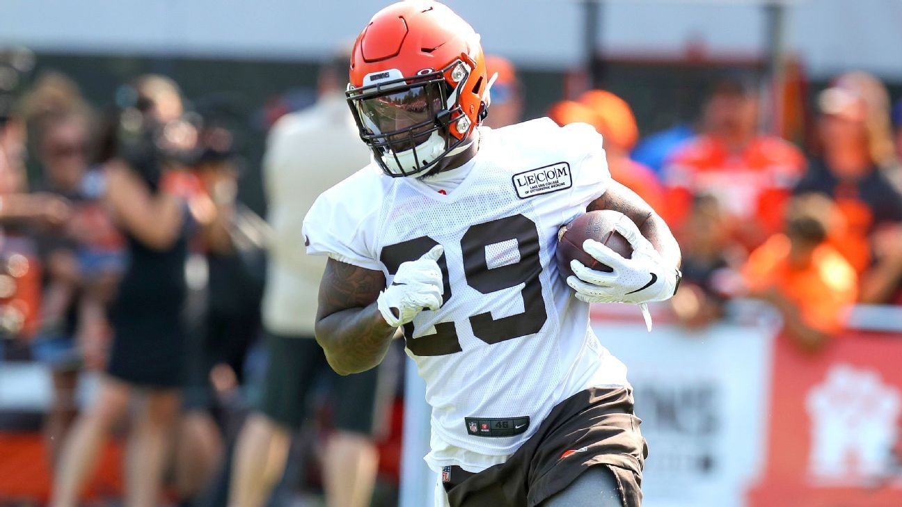 Duke Johnson could be a great fit with Deshaun Watson and Texans