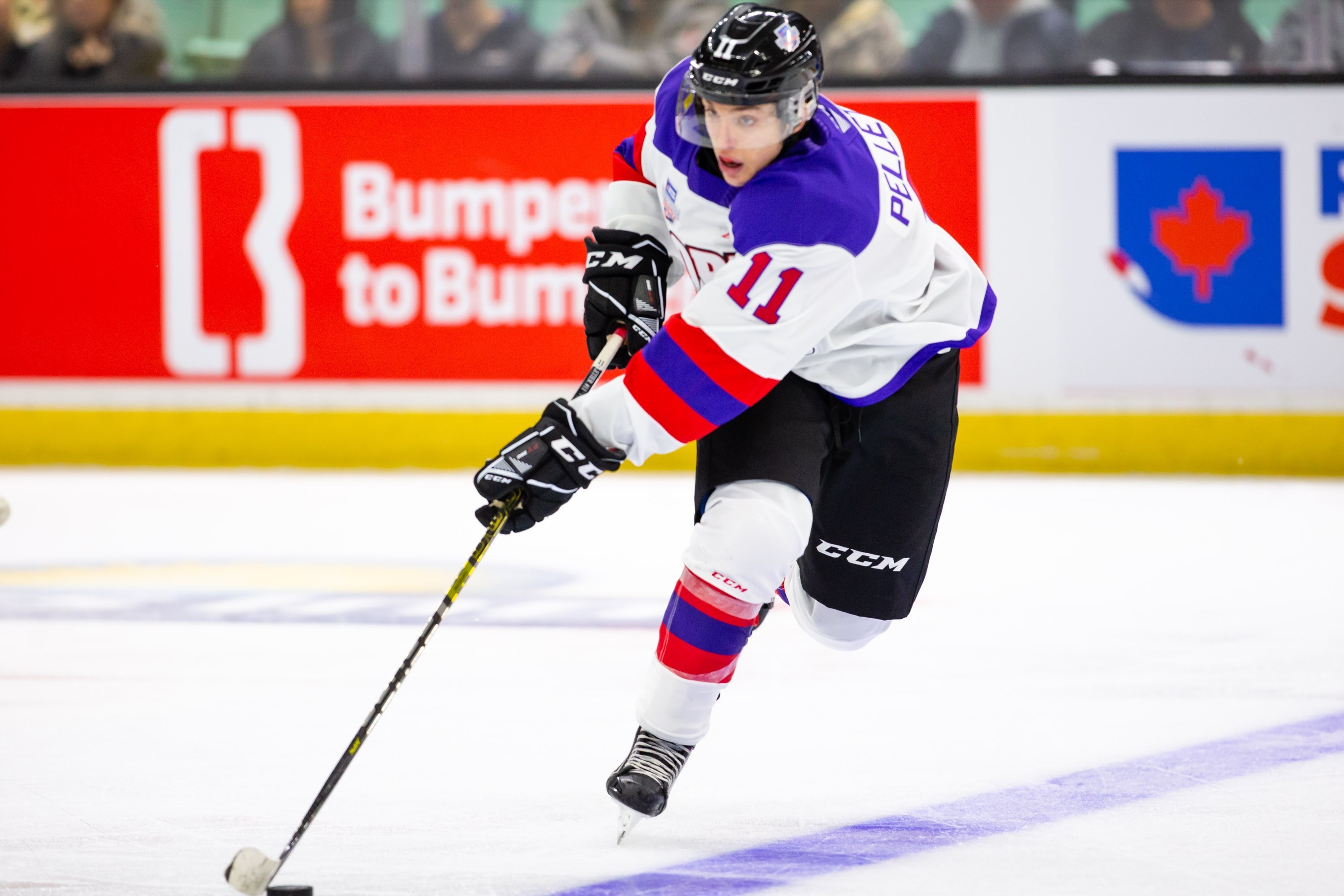 A closer look at Jakob Pelletier