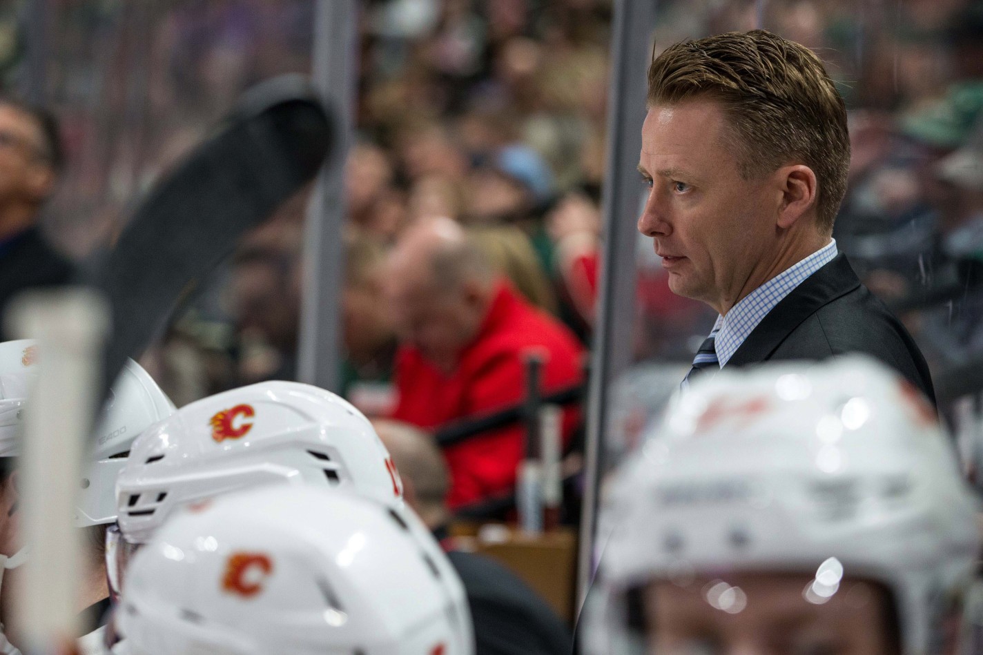 Who could coach the Flames next season?