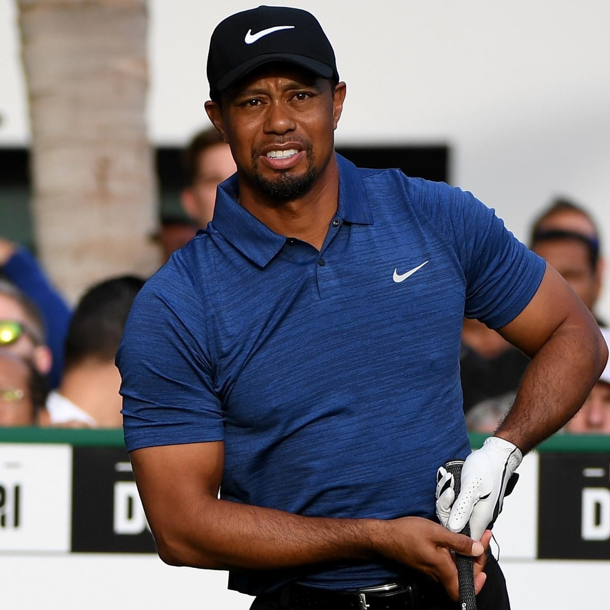 Paul Azinger Says 'Some Players' Think Tiger Woods Has Pain Medication ...