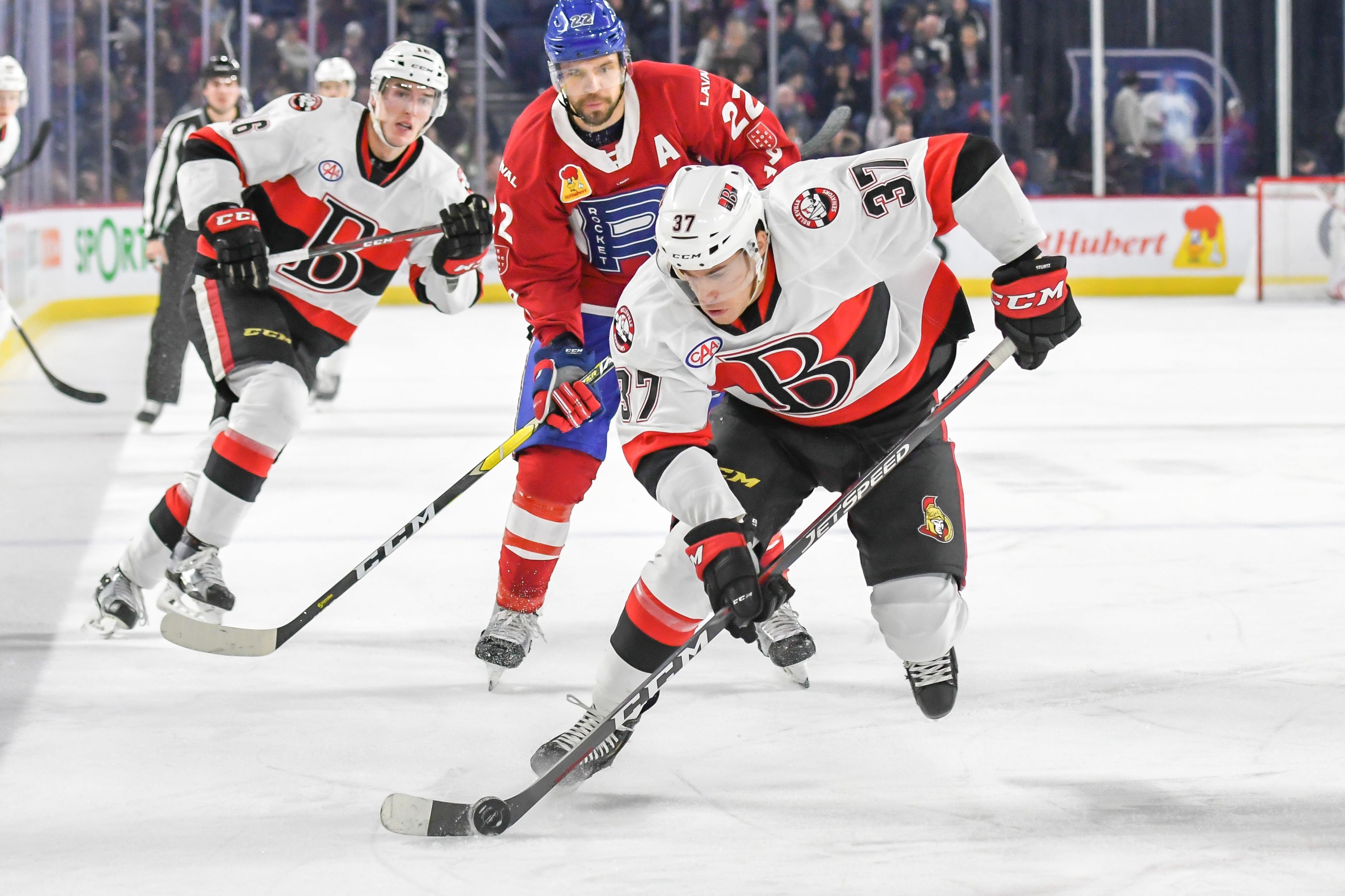 Montreal Canadiens make a deal with Ottawa Senators to add Andrew Sturtz