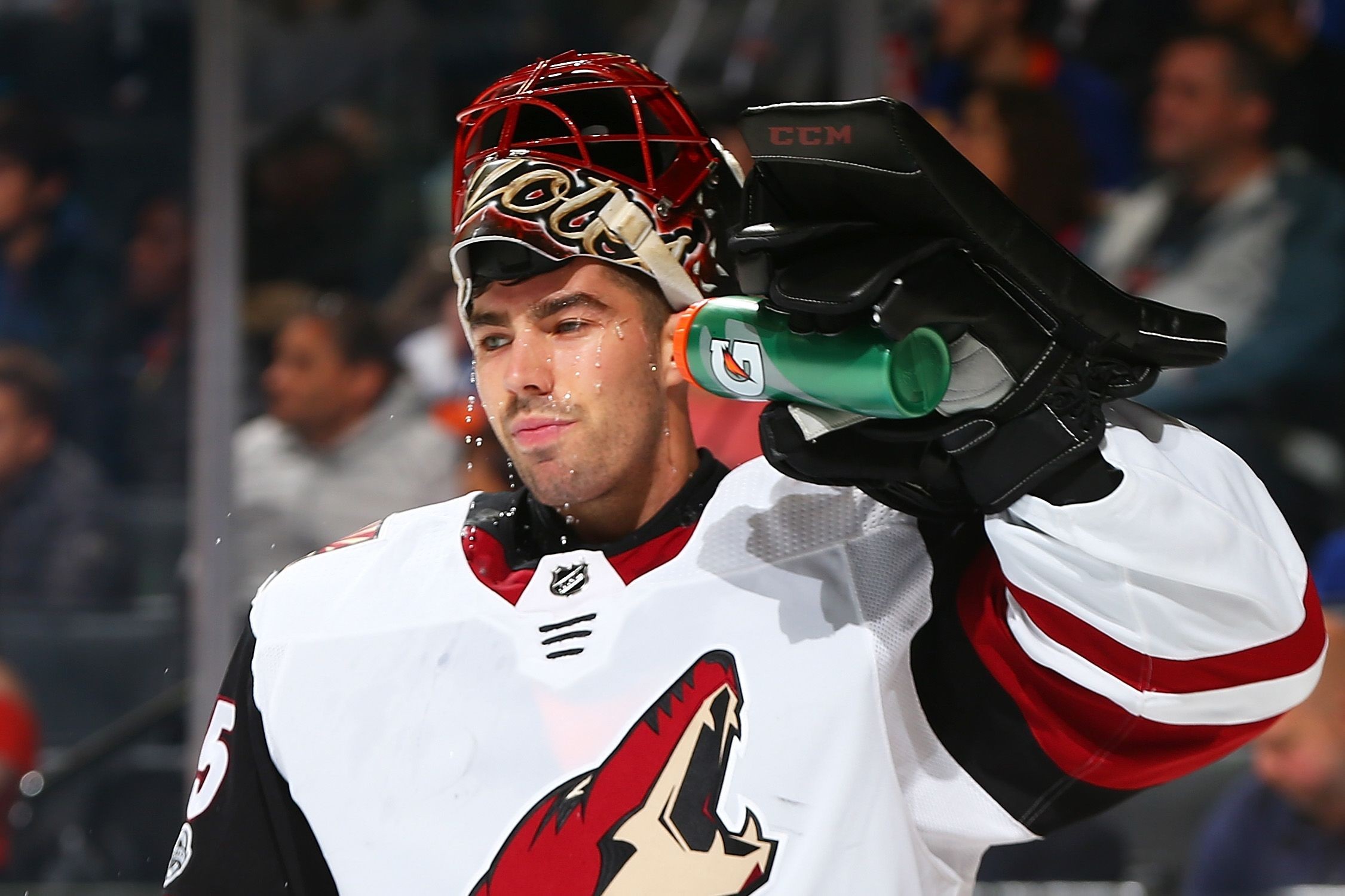 Tampa Bay Lightning recall Louis Domingue from Syracuse Crunch