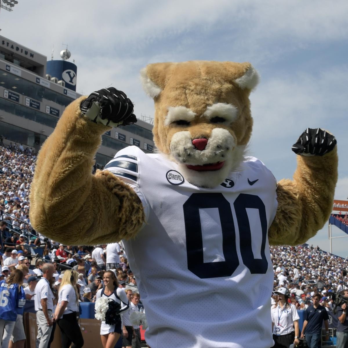 BYU's Cosmo the Cougar Is the Next Superstar Mascot