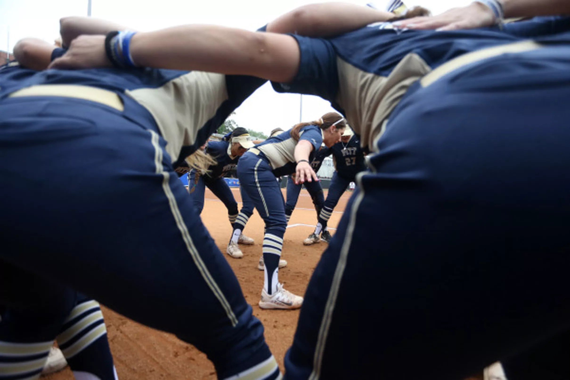 Pitt softball adds Amanda Buchholz to staff