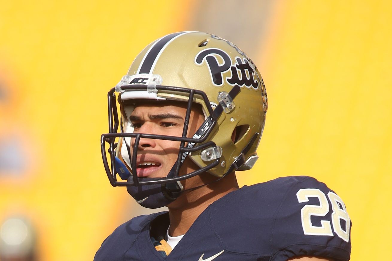 Pitt loses Dewayne Hendrix and Elijah Zeise for season