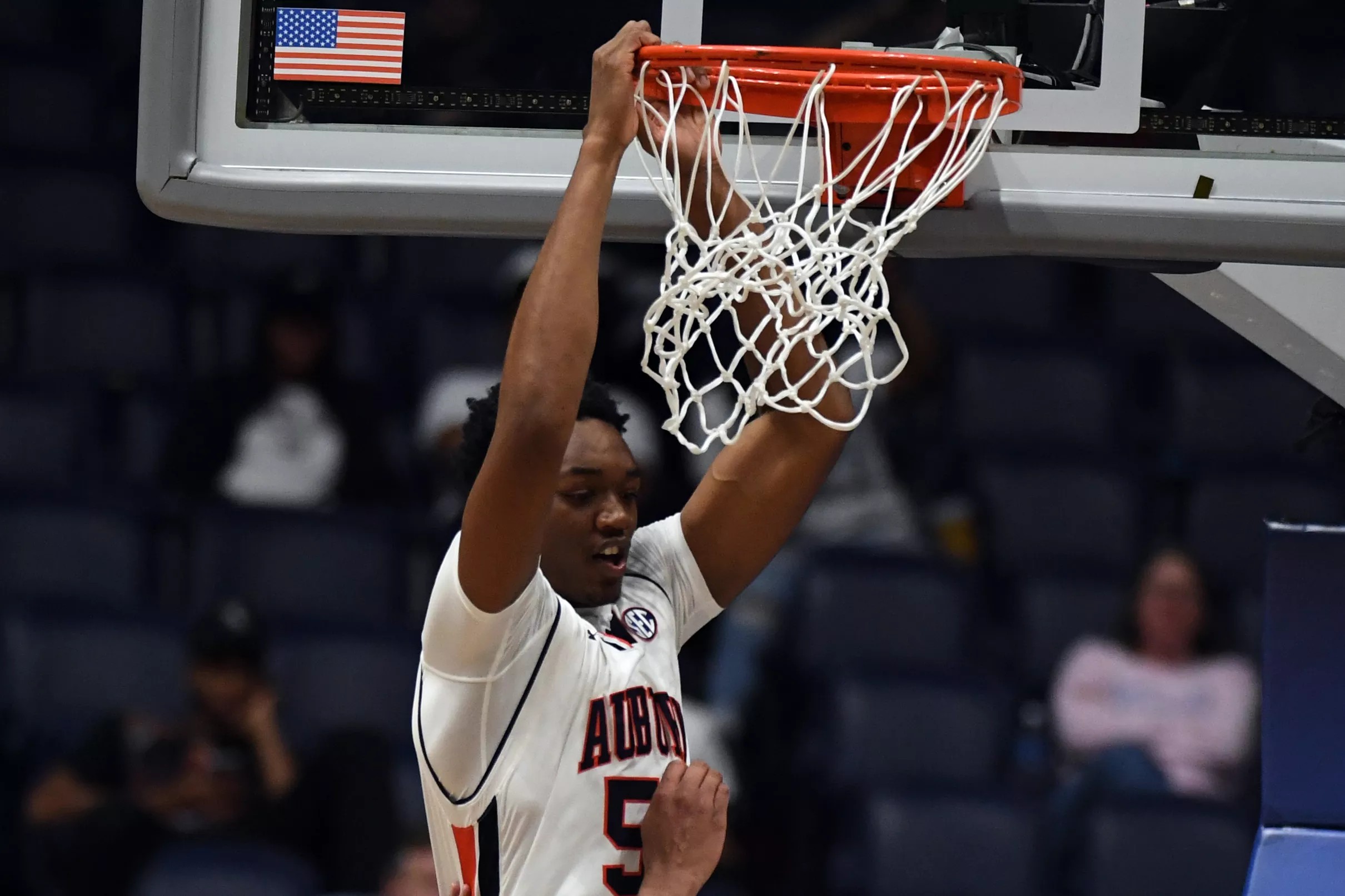 Auburn Basketball Star Austin Wiley Chosen For U19 USA World Cup Team
