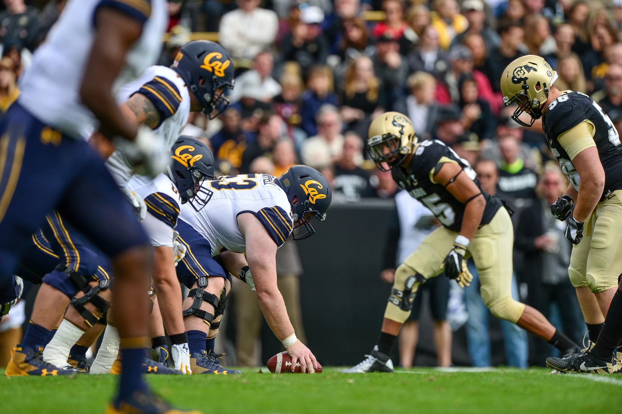 Scout’s Eye: Cal C Michael Saffell