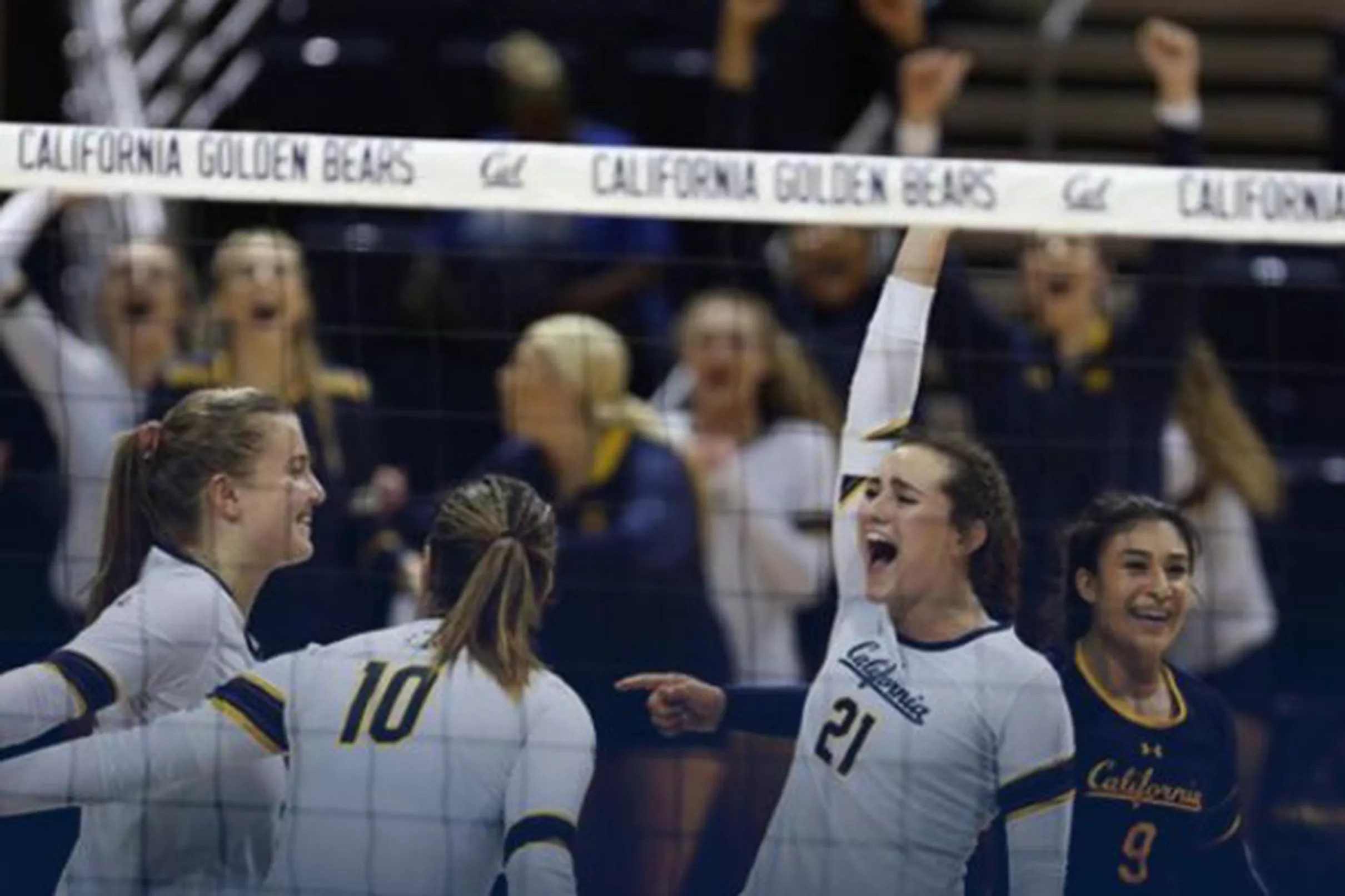 Golden Medals: Cal Volleyball evens Pac-12 record, Field Hockey wins 6 ...