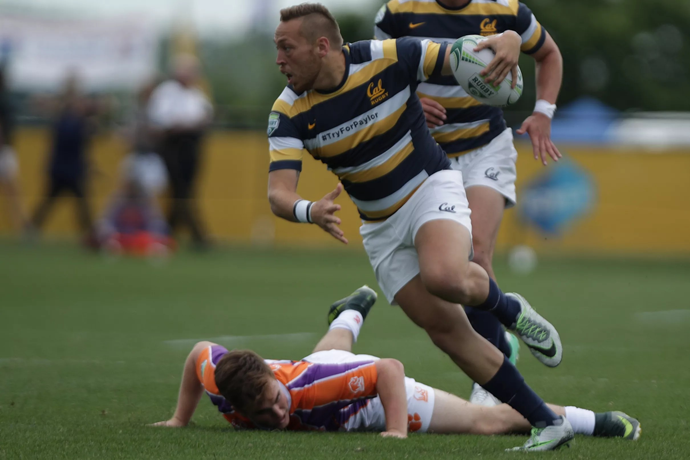 Statement concerning Robert Paylor from Cal Rugby head coach Jack Clark