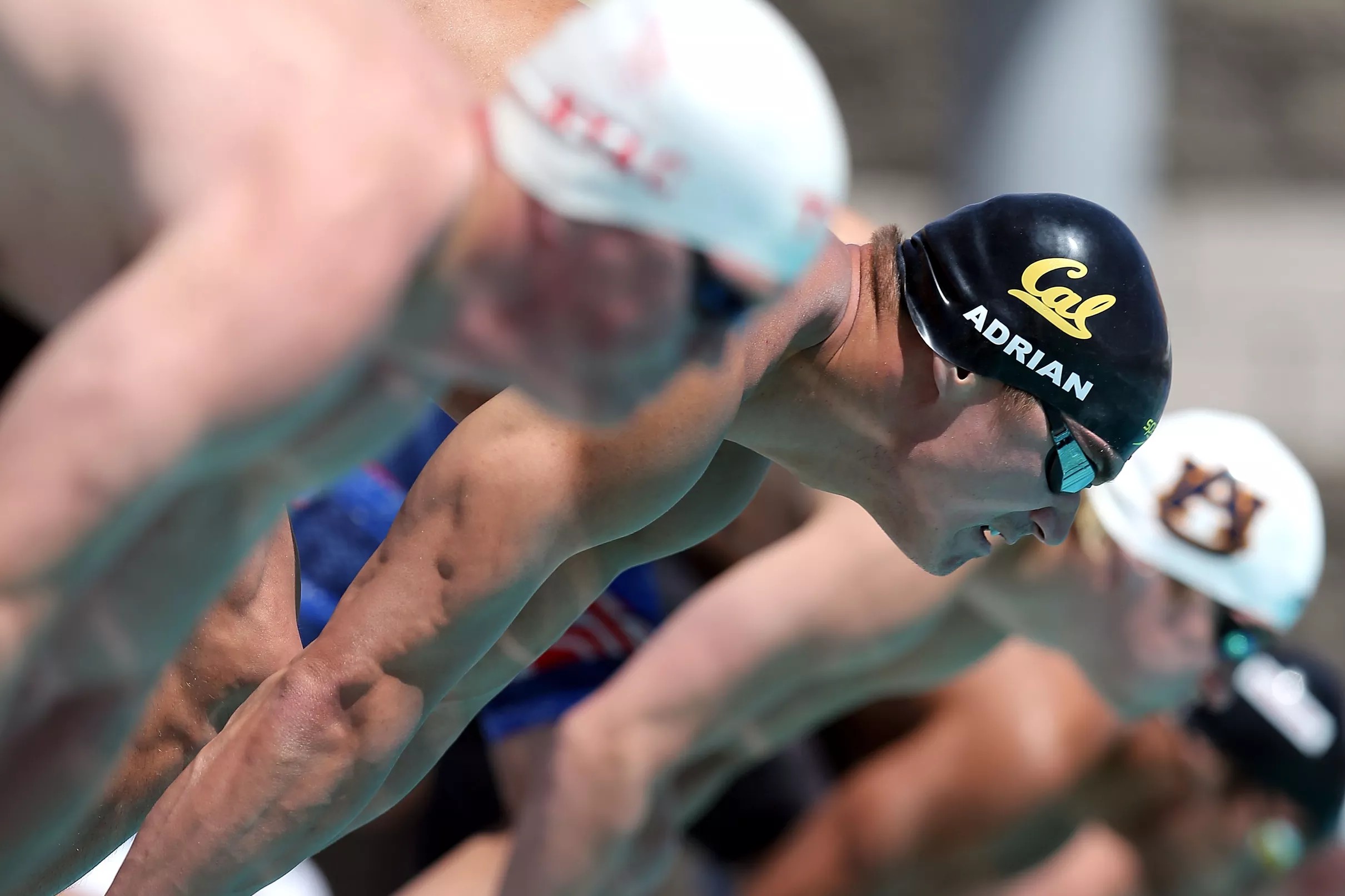 Cal Swimmers at the 2017 USA Phillips 66 National Championships