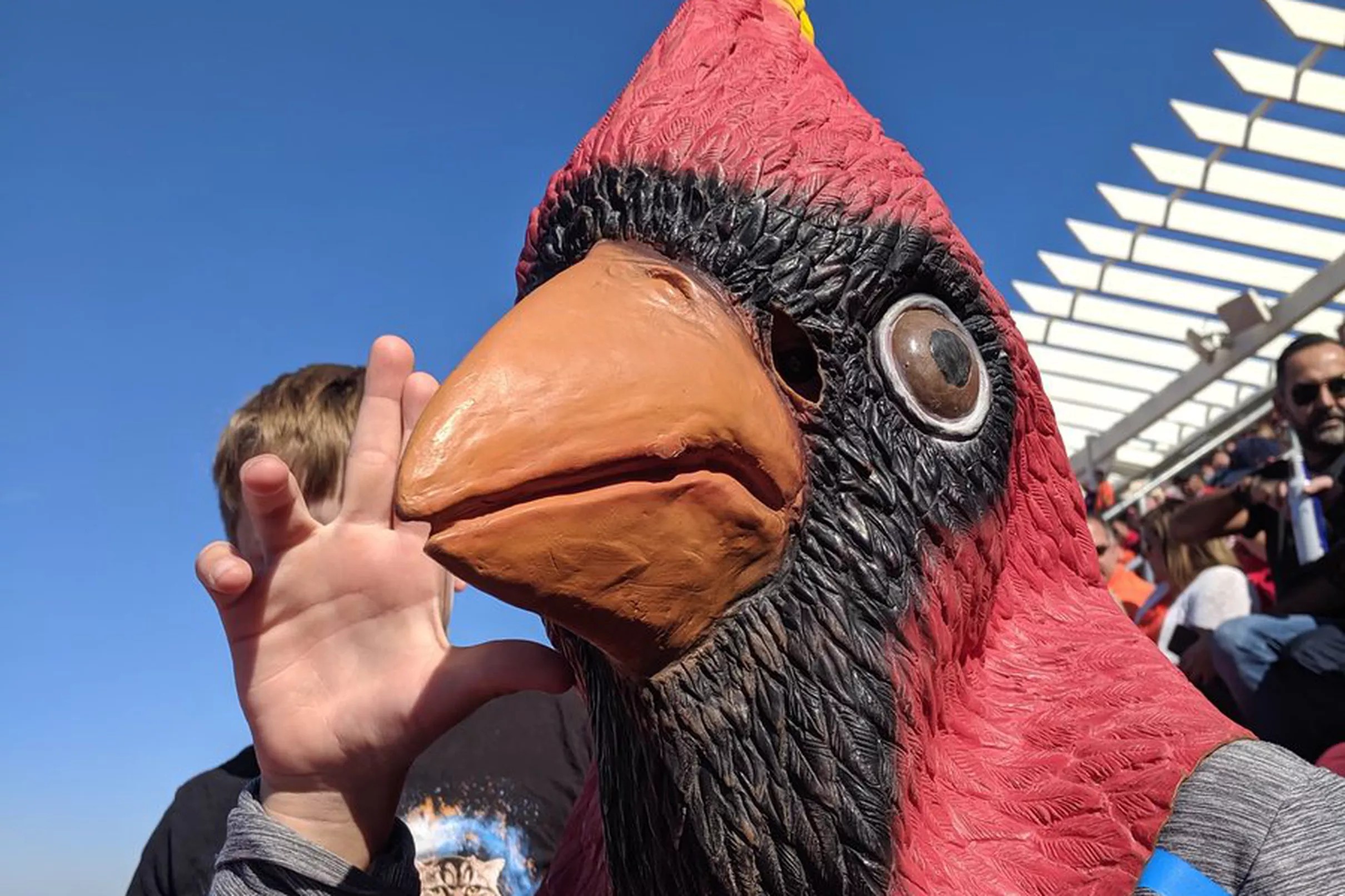 Wednesday evening Cardinal news and notes