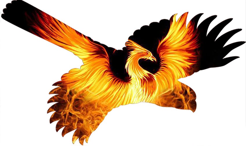 Cardinal Renaissance, rising from ashes at University of Louisville