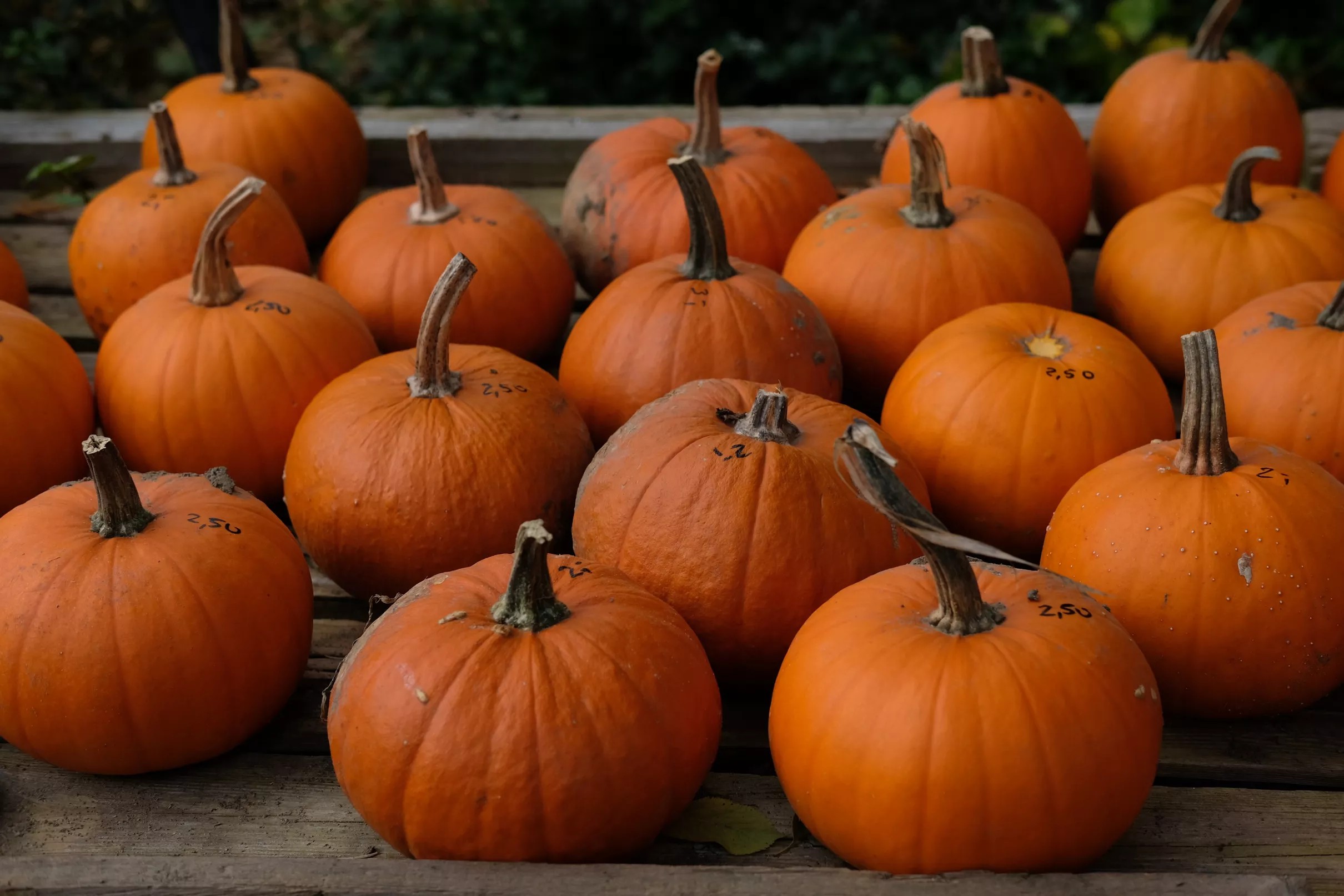 Everyone Gets A Trophy Podcast: Smashing Bumpkins