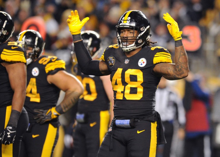 Cats in the NFL Week 11 Recap